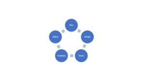 Choosing a Development Approach, by Cyndi Snyder Dionisio